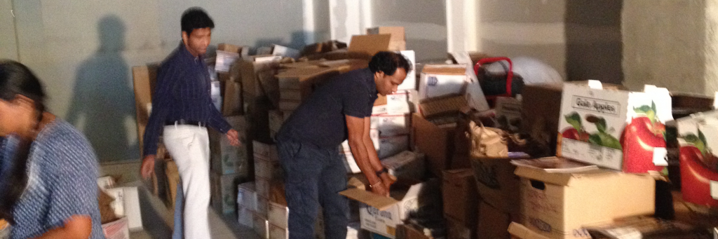 Literacy bees swarm the stack - MagLiteracy